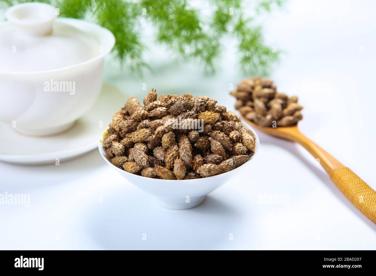Chinese medicine xanthium Stock Photo - Alamy