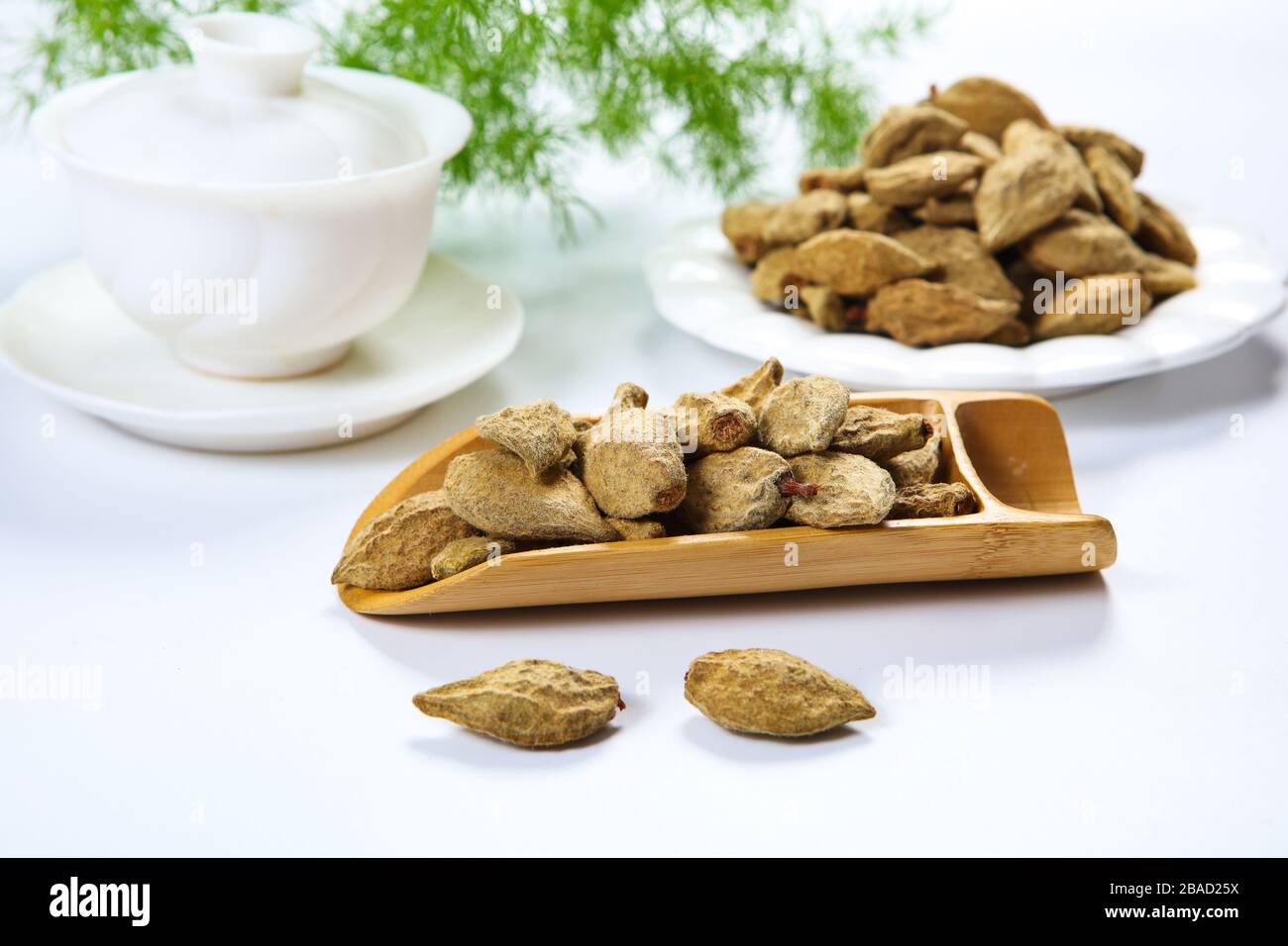 Chinese herbal medicine prunus persica dry Stock Photo - Alamy