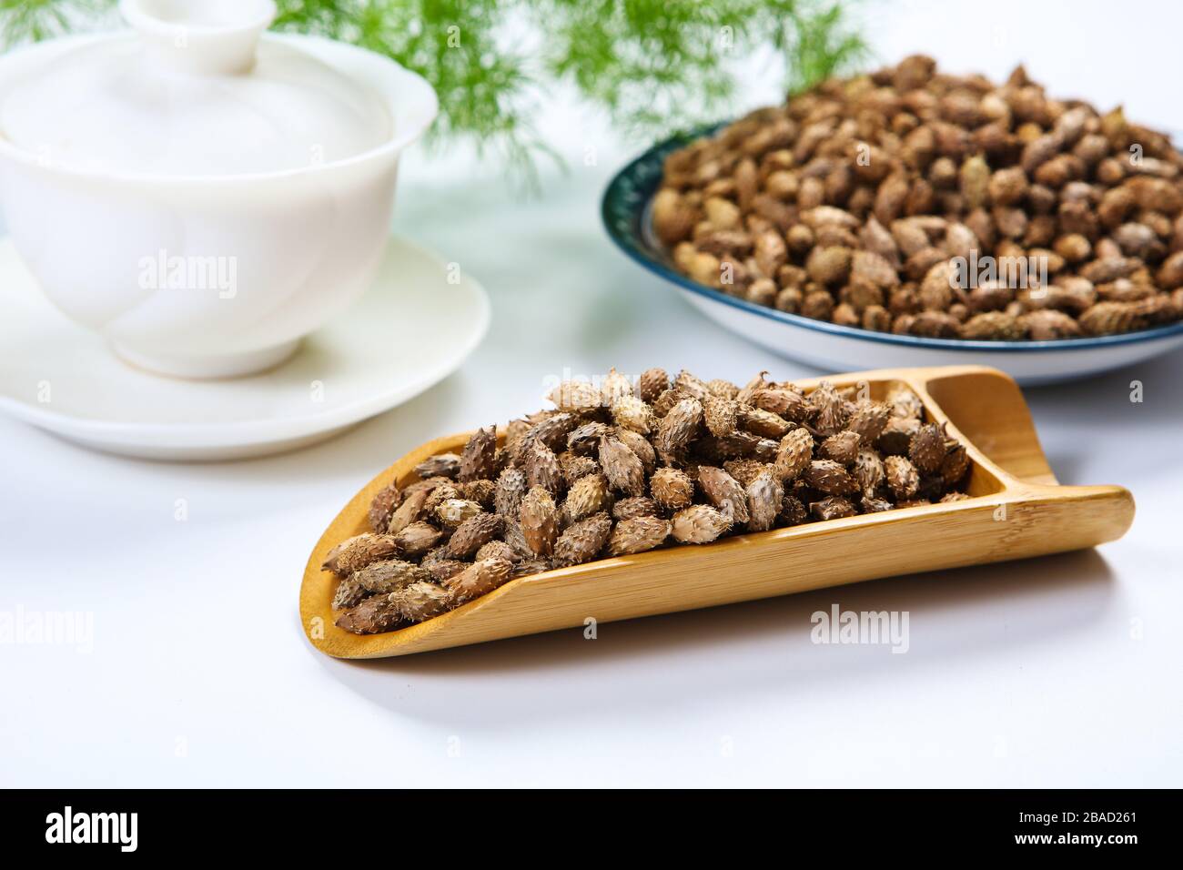 Xanthium hi-res stock photography and images - Alamy