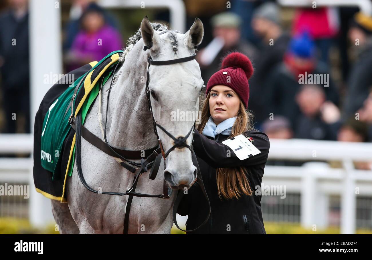 Cheltenham parade ring hi-res stock photography and images - Alamy