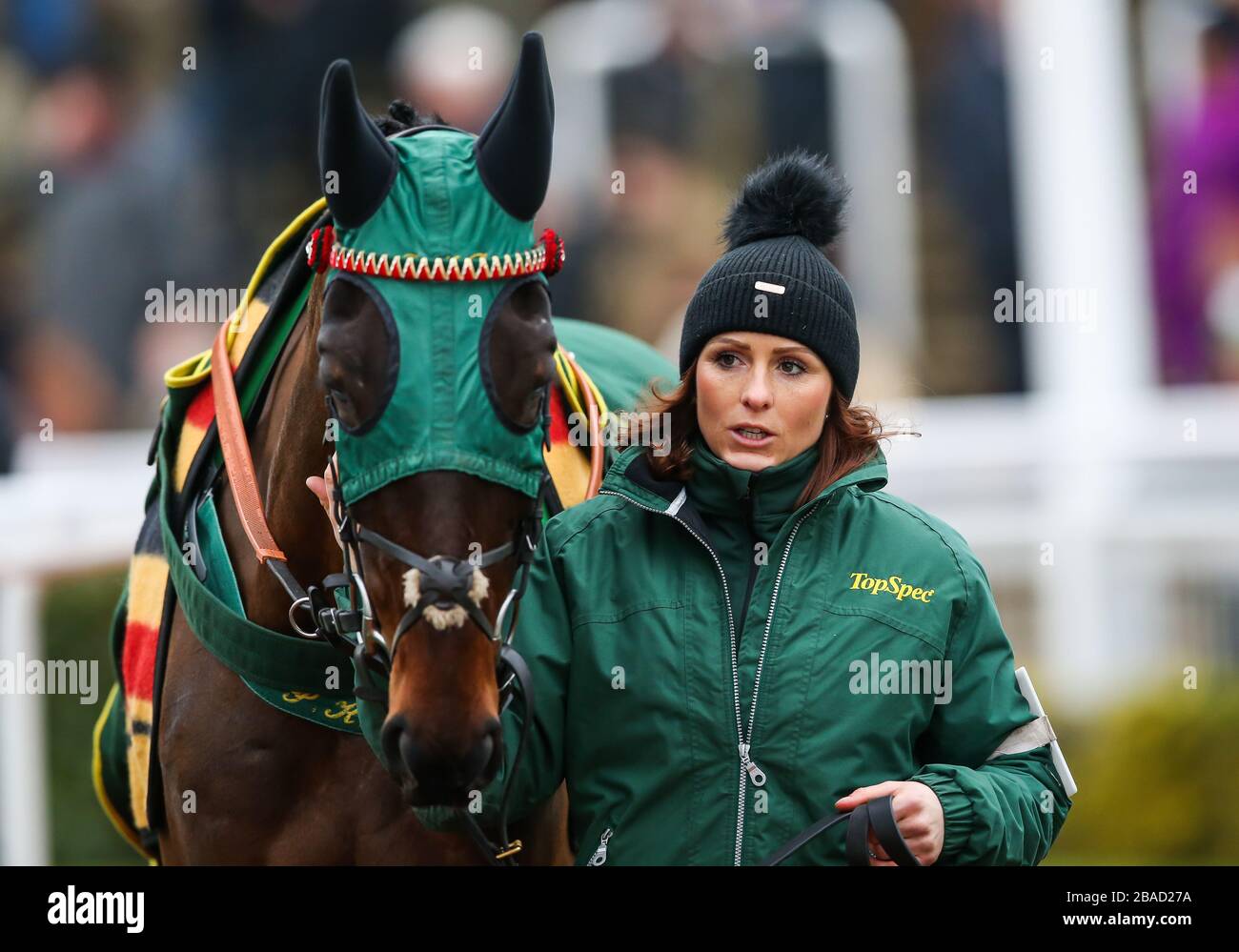Cheltenham parade ring hi-res stock photography and images - Alamy