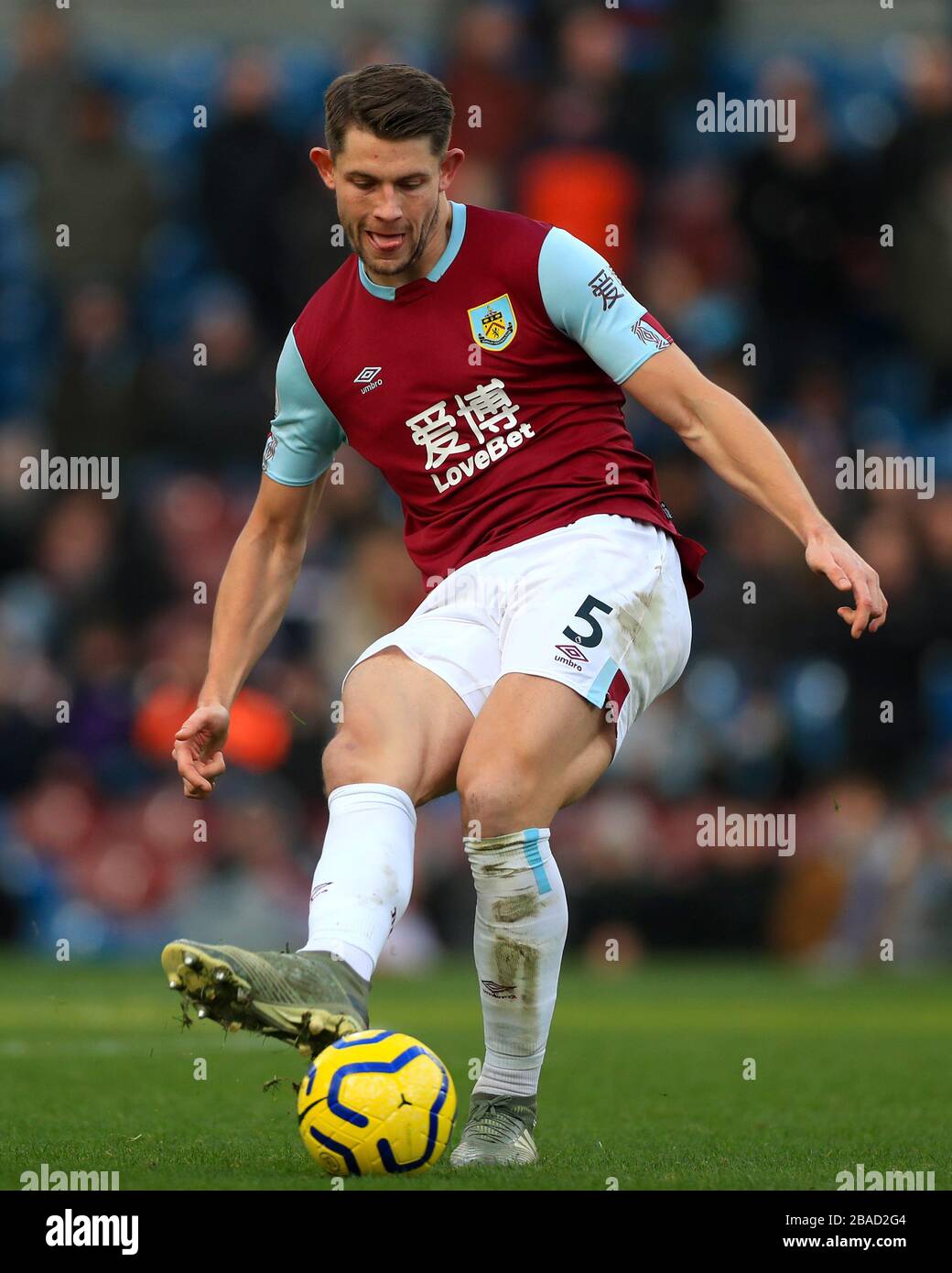 Tarkowski hi-res stock photography and images - Alamy