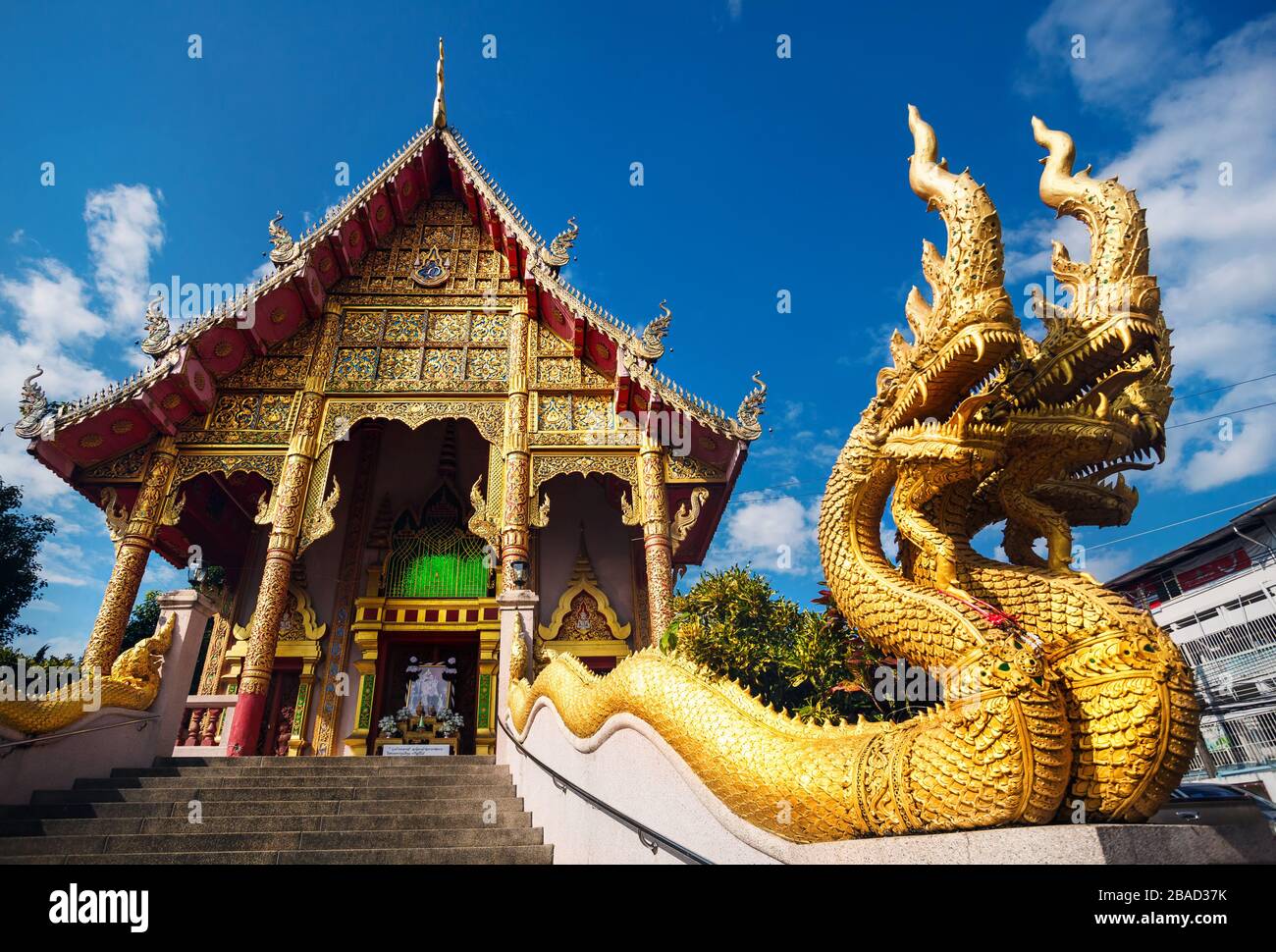 Statue of golden dragons near stairs in Buddhist temple of Chiang Rai ...