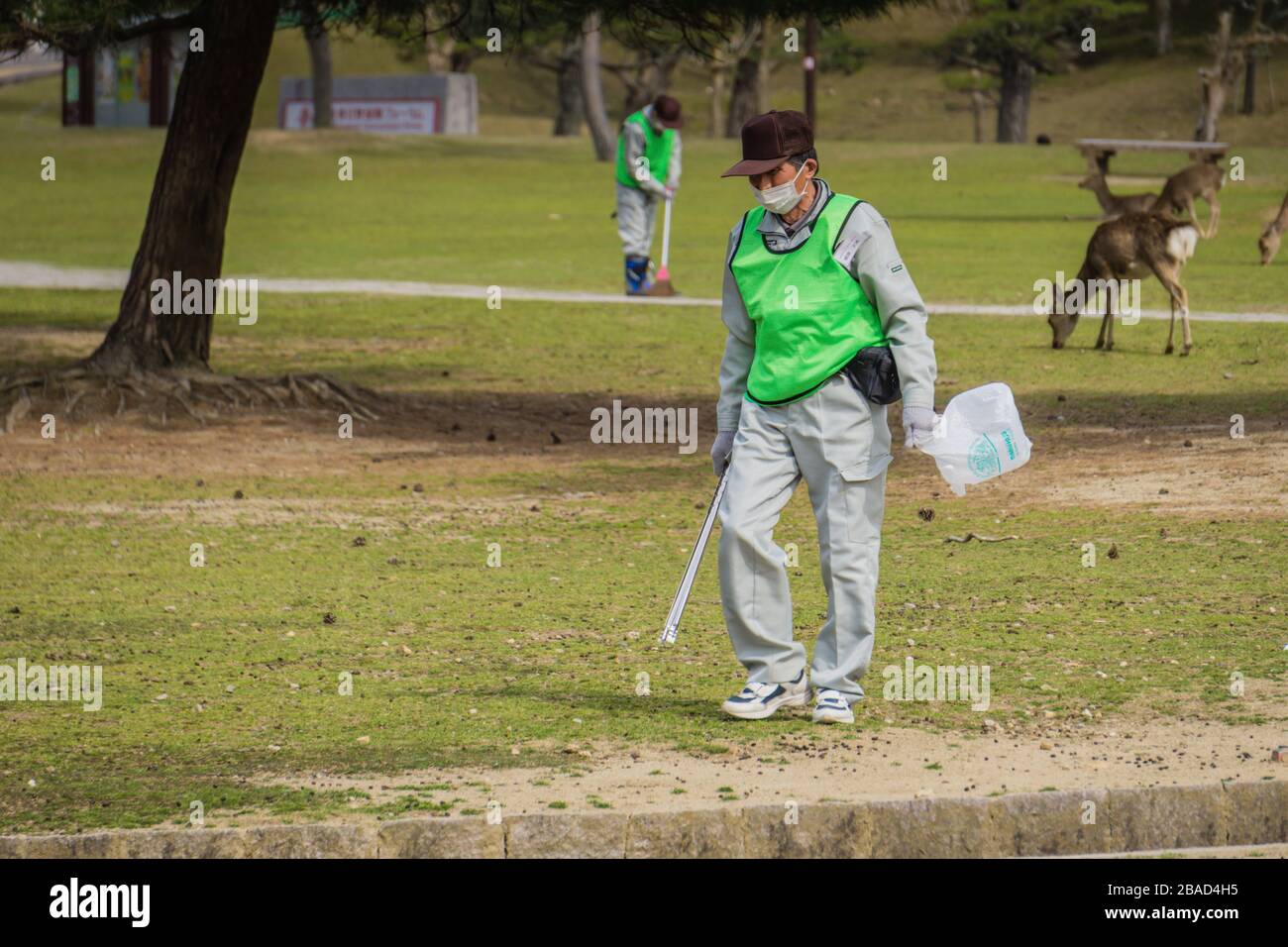 Municipal council cleaning workers picking up garbage in Nara Park ...