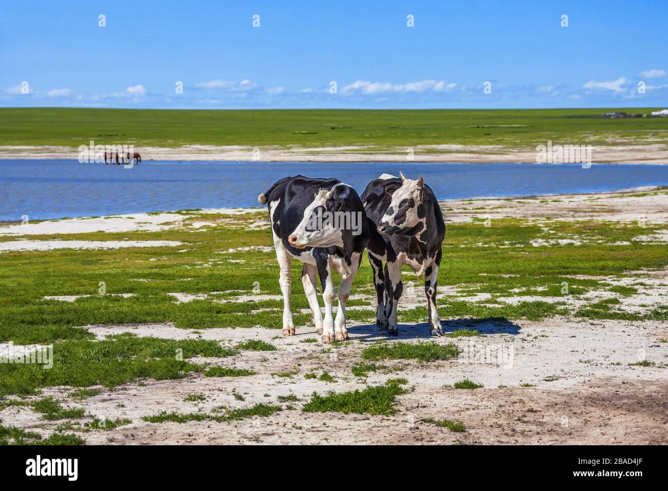 beauty of pastures Stock Photo - Alamy