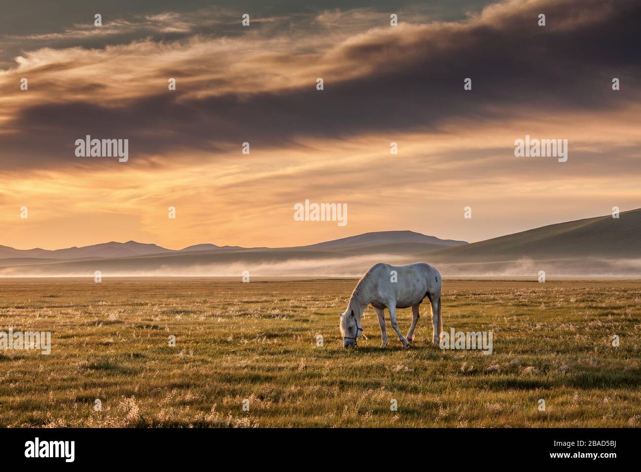 beauty of pastures Stock Photo - Alamy