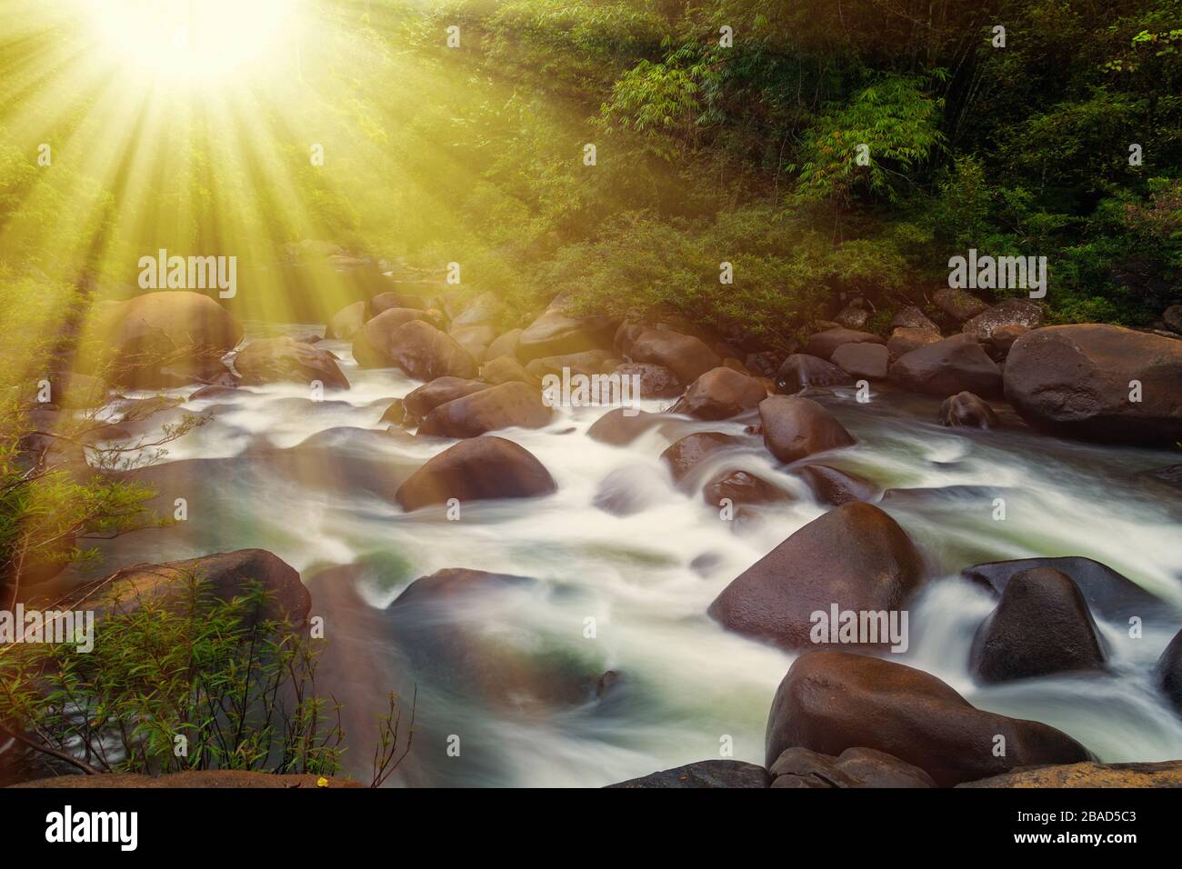 Sunlight On The River