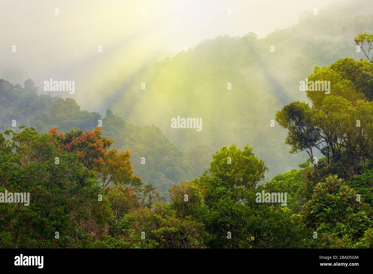 Rising sun rays hi-res stock photography and images - Alamy