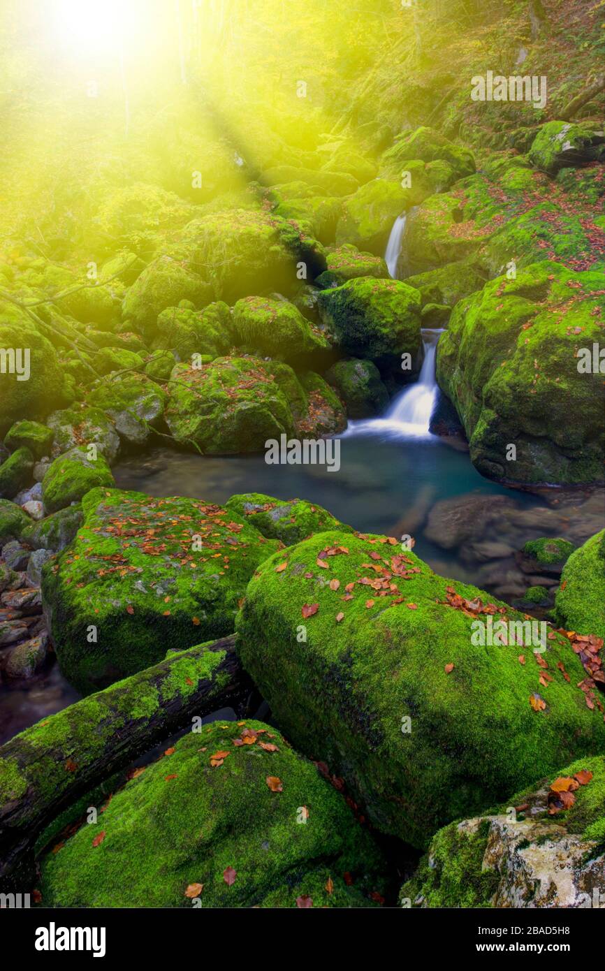 Waterfall in the forest with the moss covered moss lit by the rays of ...