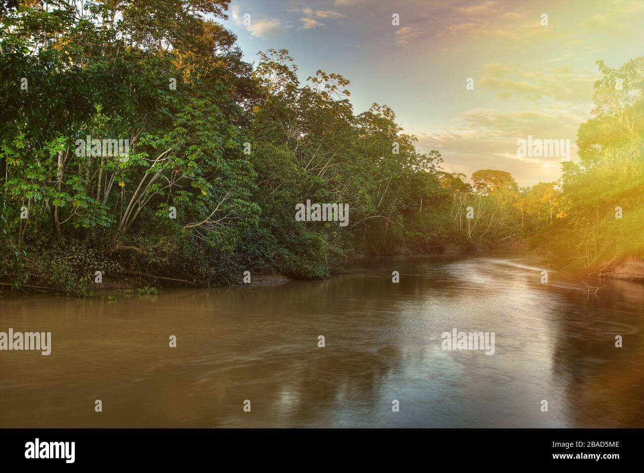 A river in the rainforest, lit by the rays of the rising sun Stock ...