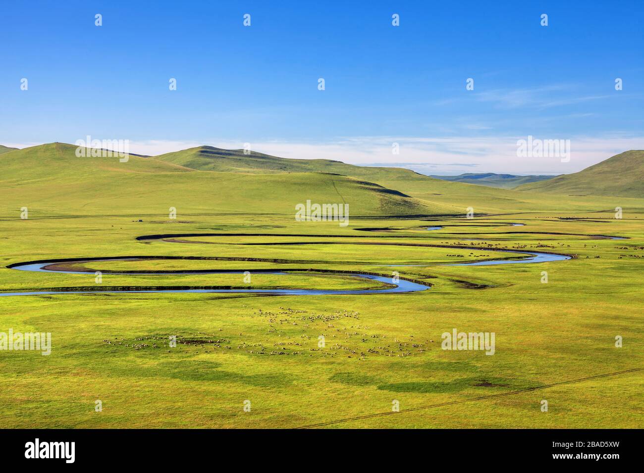 beauty of pastures Stock Photo - Alamy
