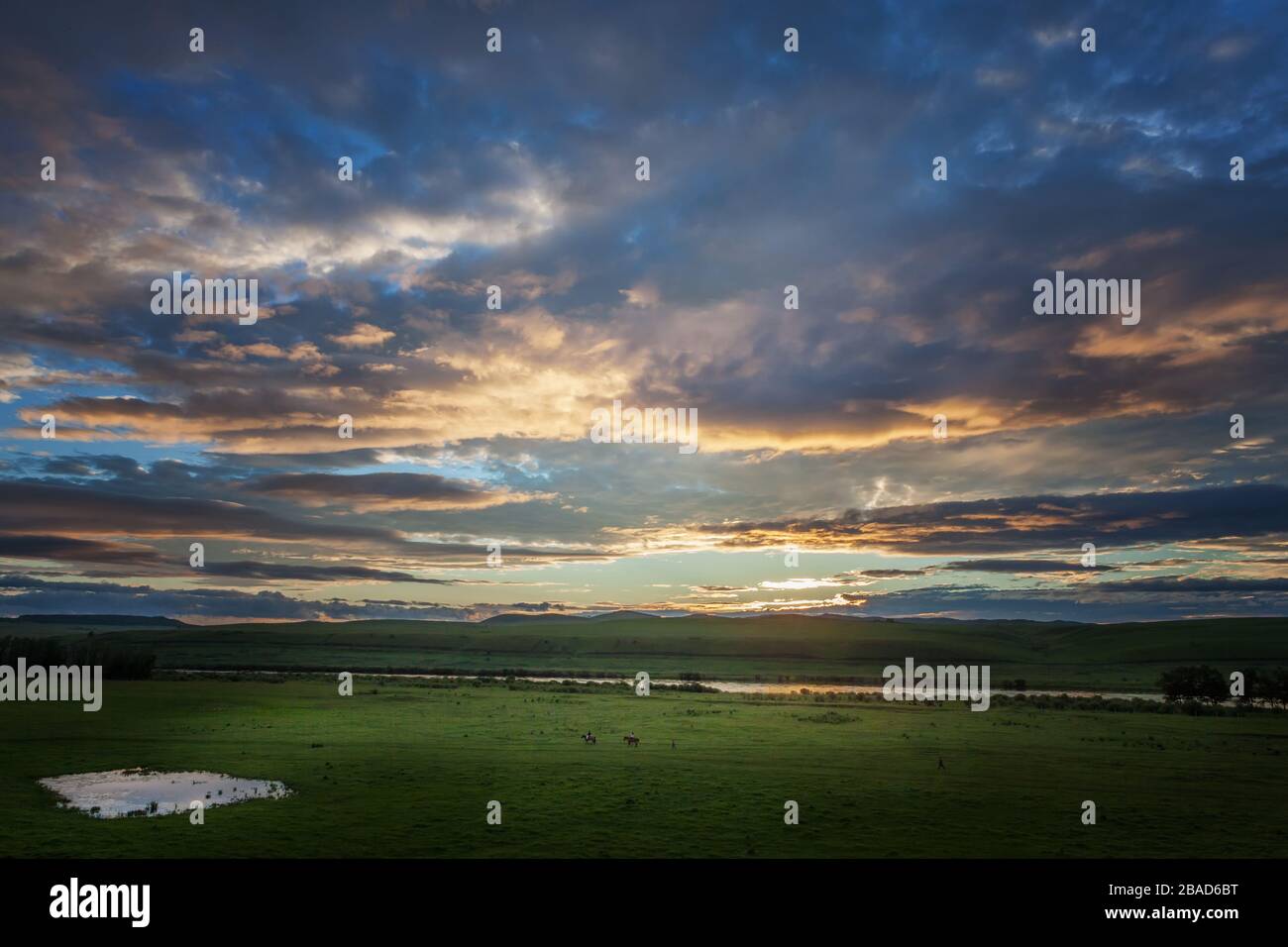 beauty of pastures Stock Photo - Alamy