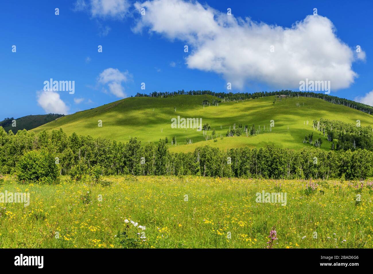 beauty of pastures Stock Photo - Alamy