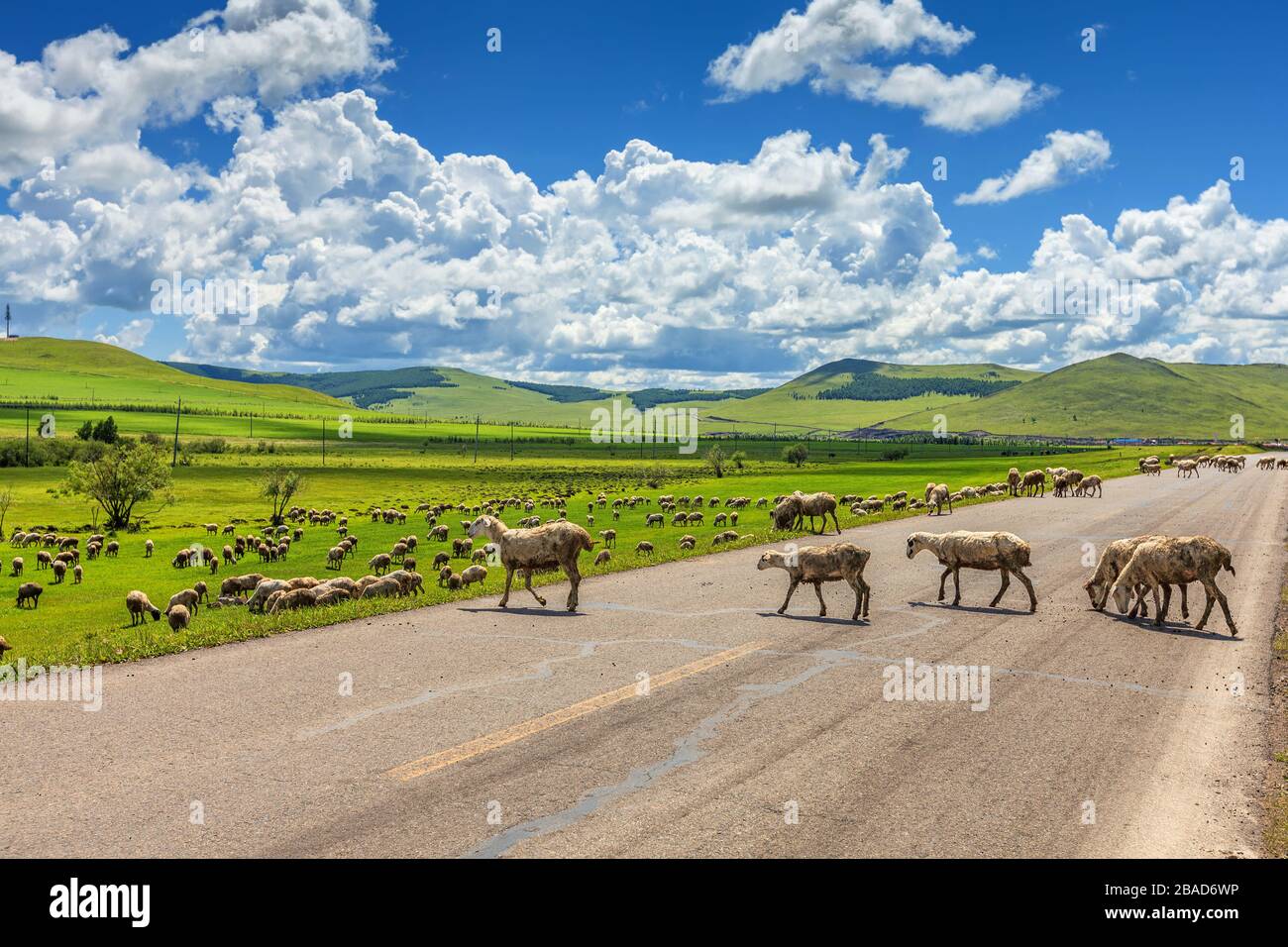beauty of pastures Stock Photo - Alamy