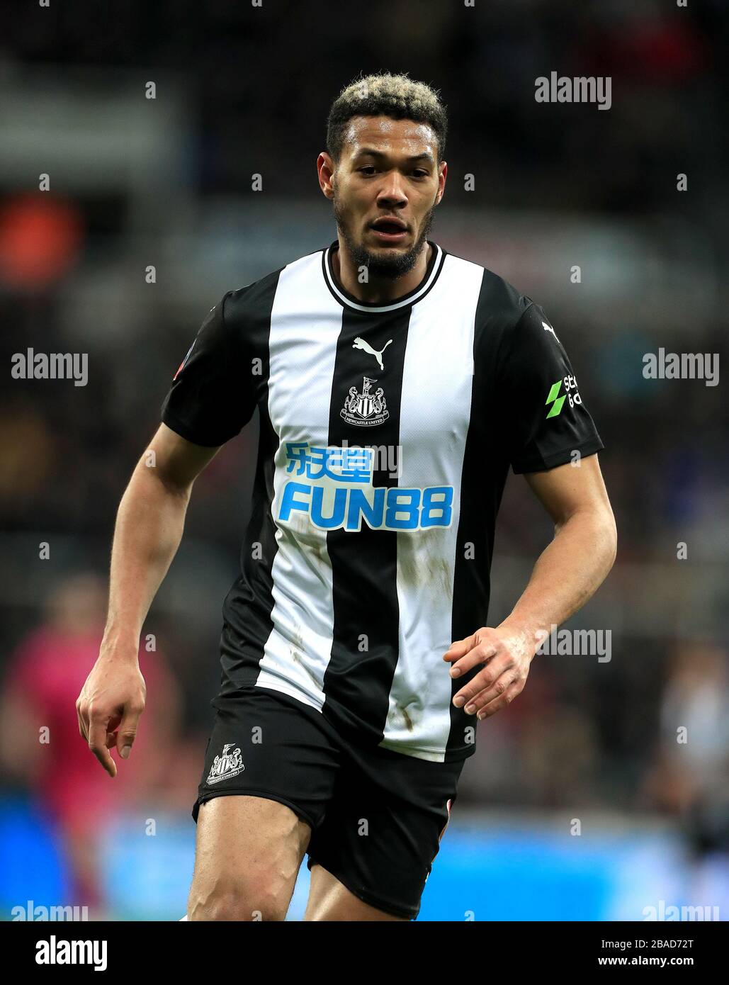 Newcastle United's Joelinton Stock Photo - Alamy