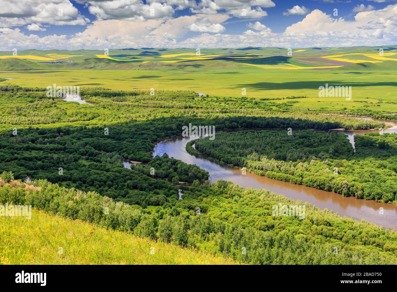 The Hulun buir wetland park Stock Photo - Alamy