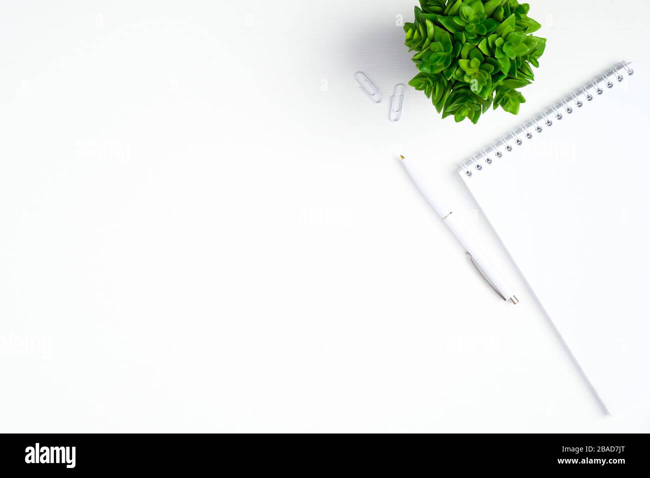 Blank paper notepad, white pen and green plant on home office desk. Top ...
