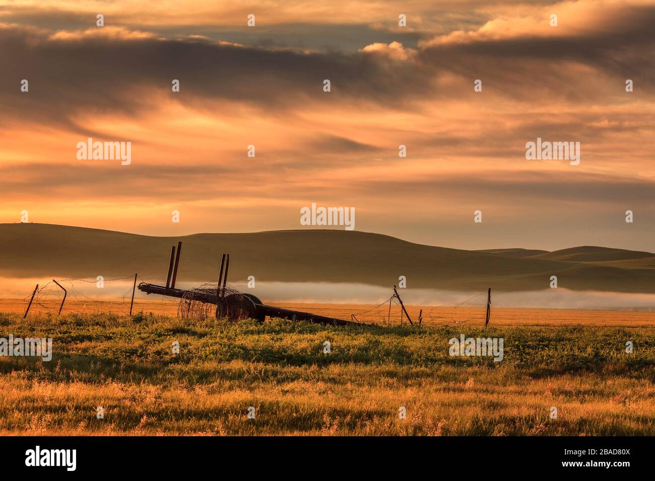 Hulunbuir Grassland High Resolution Stock Photography and Images - Alamy