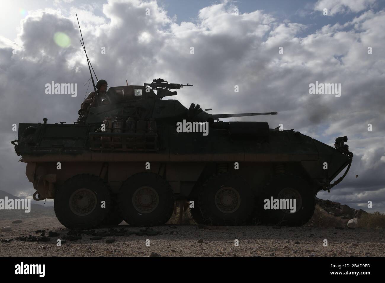 M242 bushmaster hi-res stock photography and images - Alamy