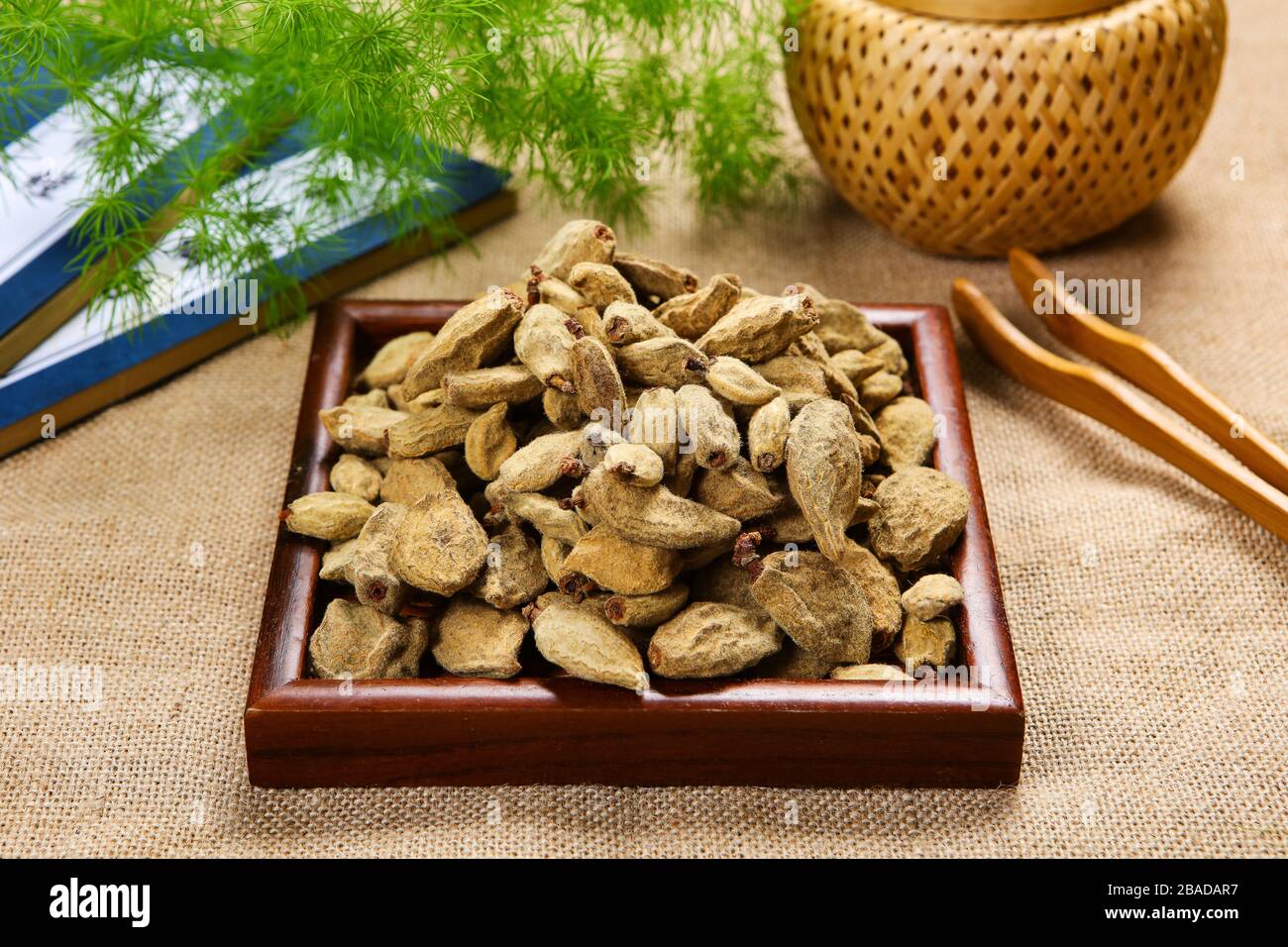 Chinese herbal medicine prunus persica dry Stock Photo - Alamy
