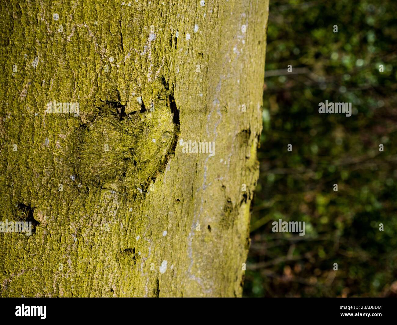 Ancient trackway historic roads hi-res stock photography and images - Alamy