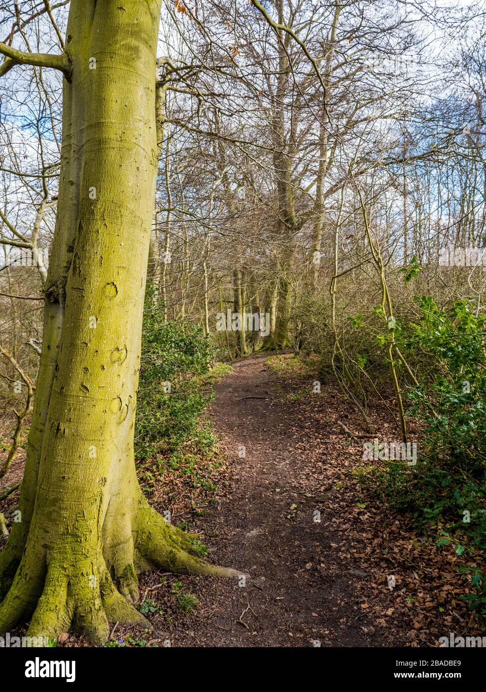 Ancient trackway historic roads hi-res stock photography and images - Alamy