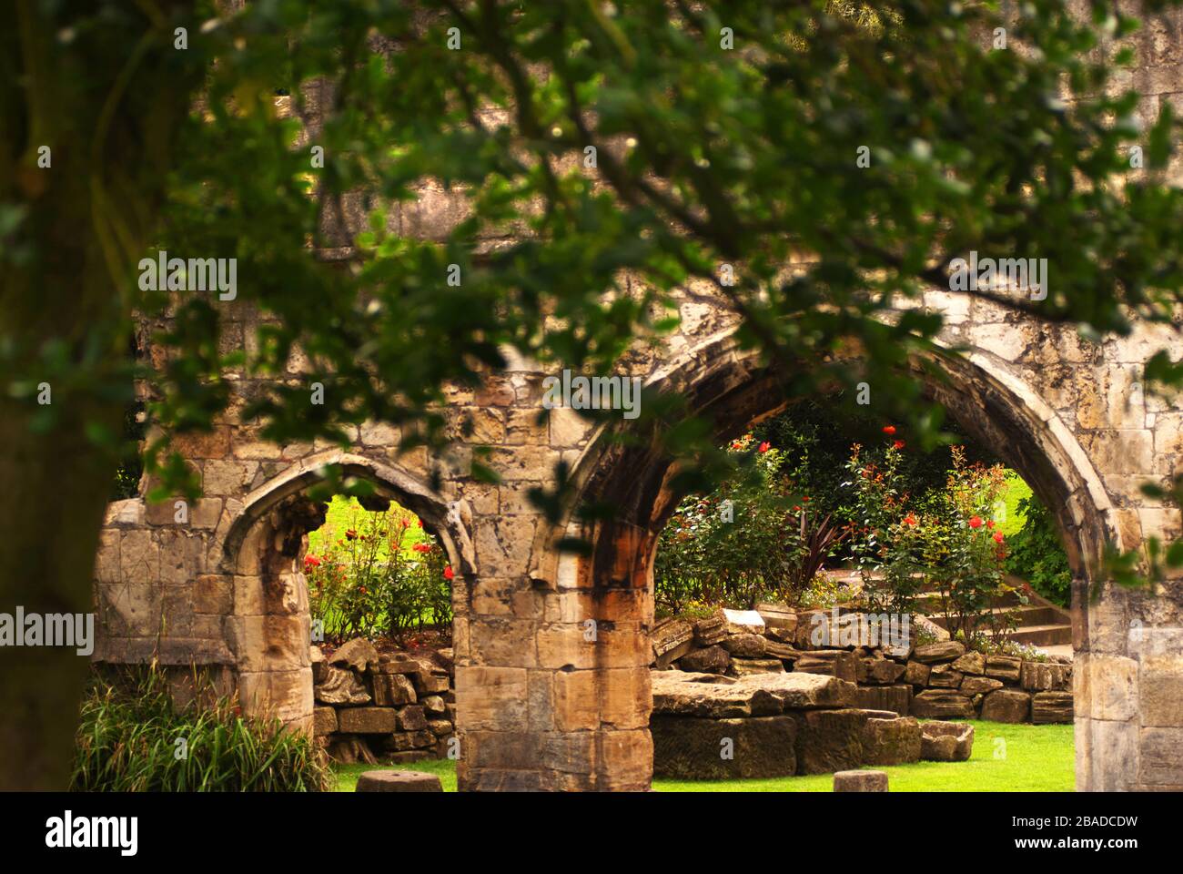 Ruined abbey buildings in Museum Gardens - botanic gardens in York ...