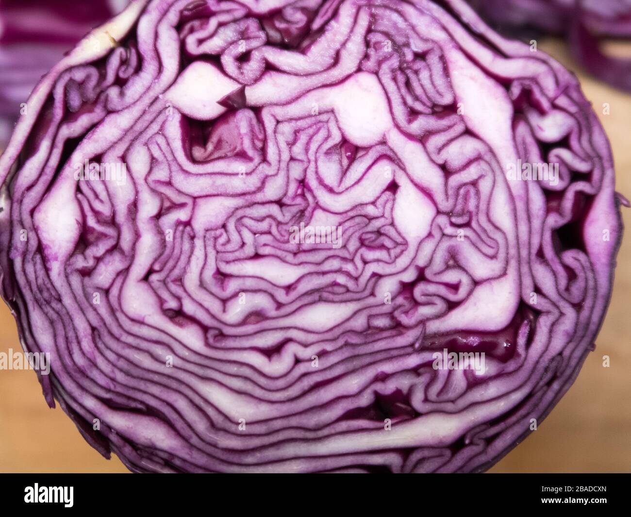 Close up cutting fresh cabbage hi-res stock photography and images - Alamy