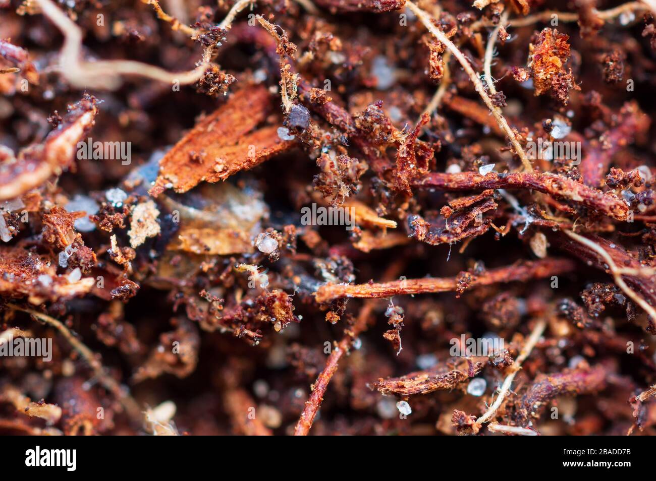 Podzol soil hi-res stock photography and images - Alamy