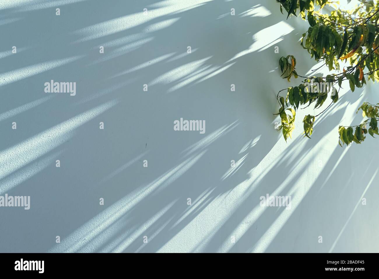 Shadows on the wall, sunshine and sun rays on summer day at sunset ...