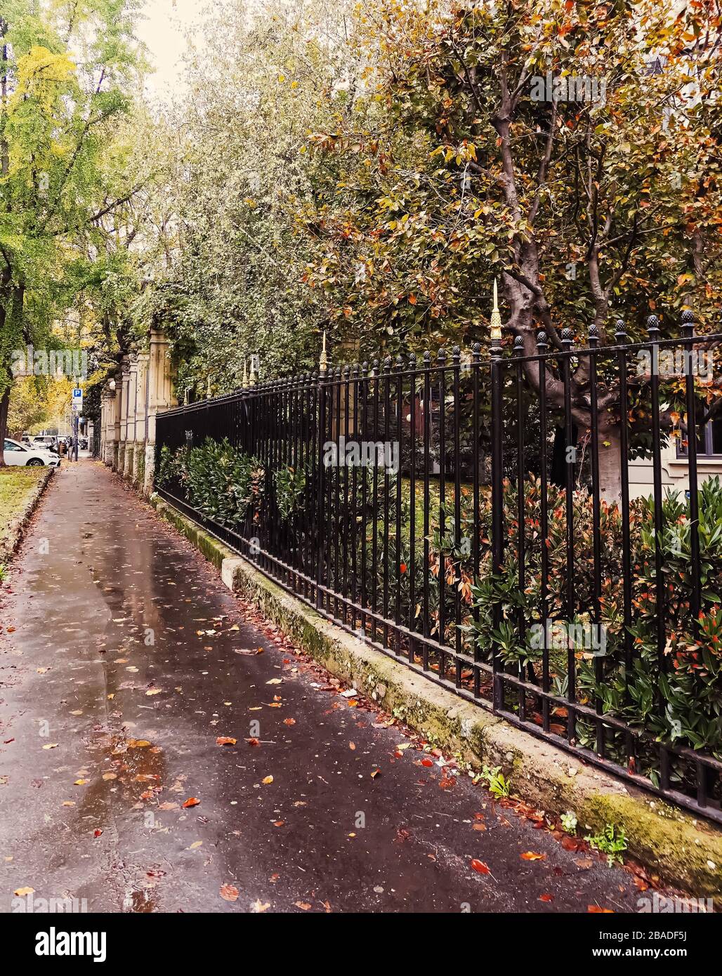 Autumn nature in park, fall leaves and trees outdoors, beautiful season ...