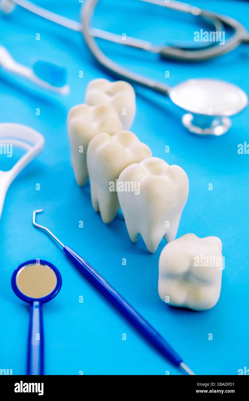 Dental model and dental equipment on blue background, concept image of ...
