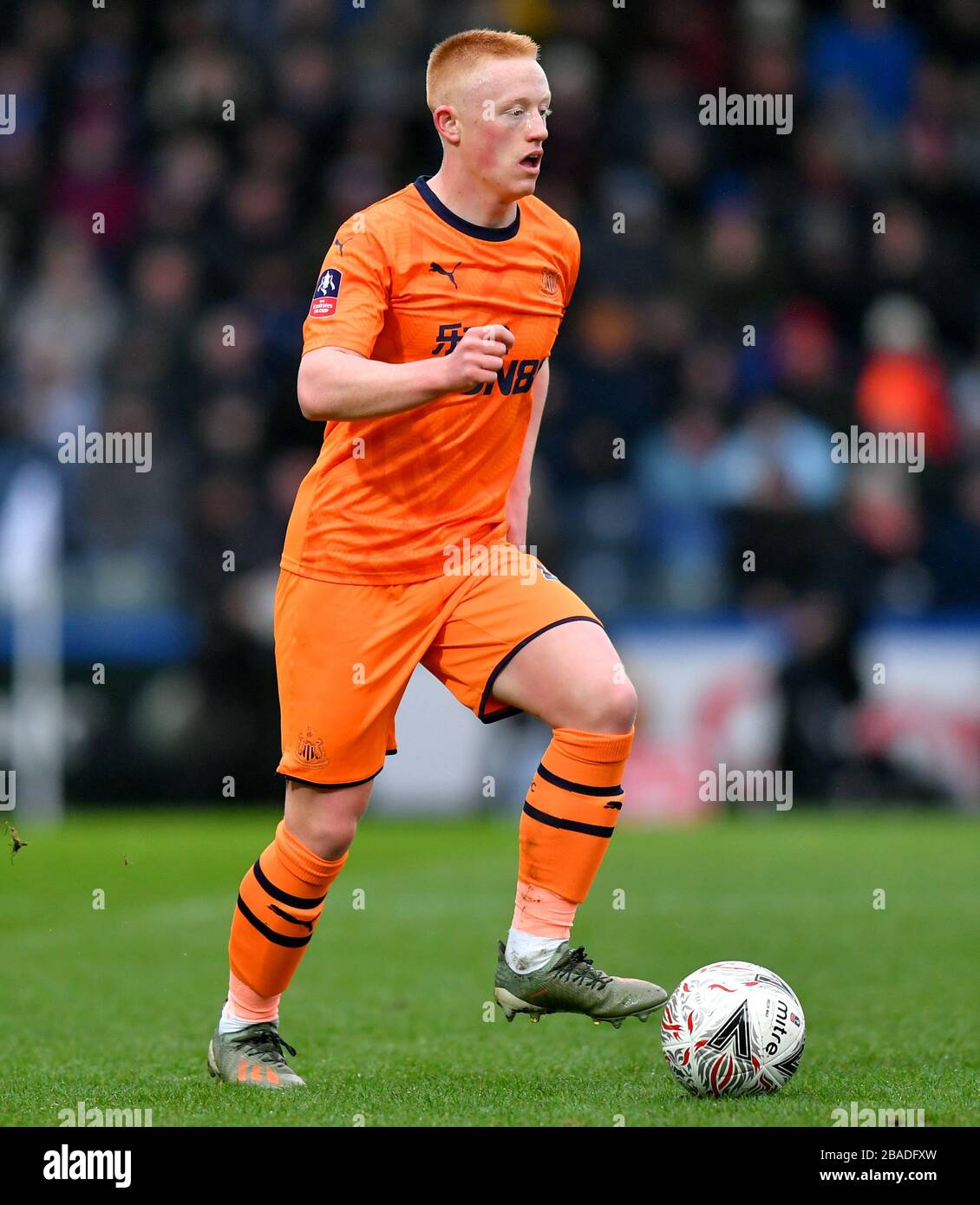 Newcastle United's Matthew Longstaff in action Stock Photo - Alamy