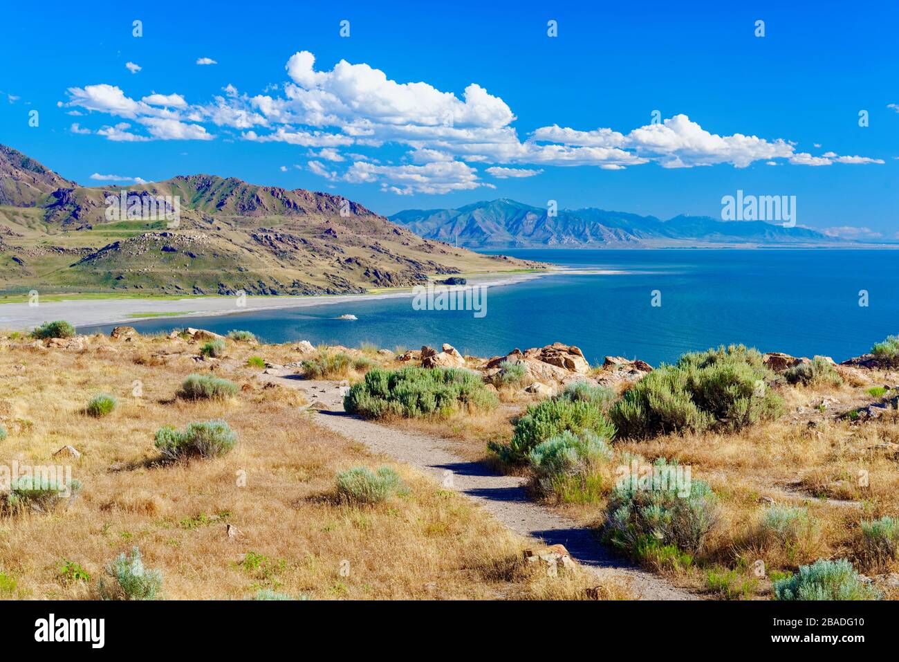 Beautiful landscape on Antelope Island State Park, Utah Stock Photo - Alamy