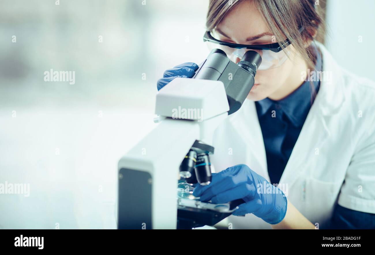 Young scientist looking through a microscope in a laboratory. Young ...