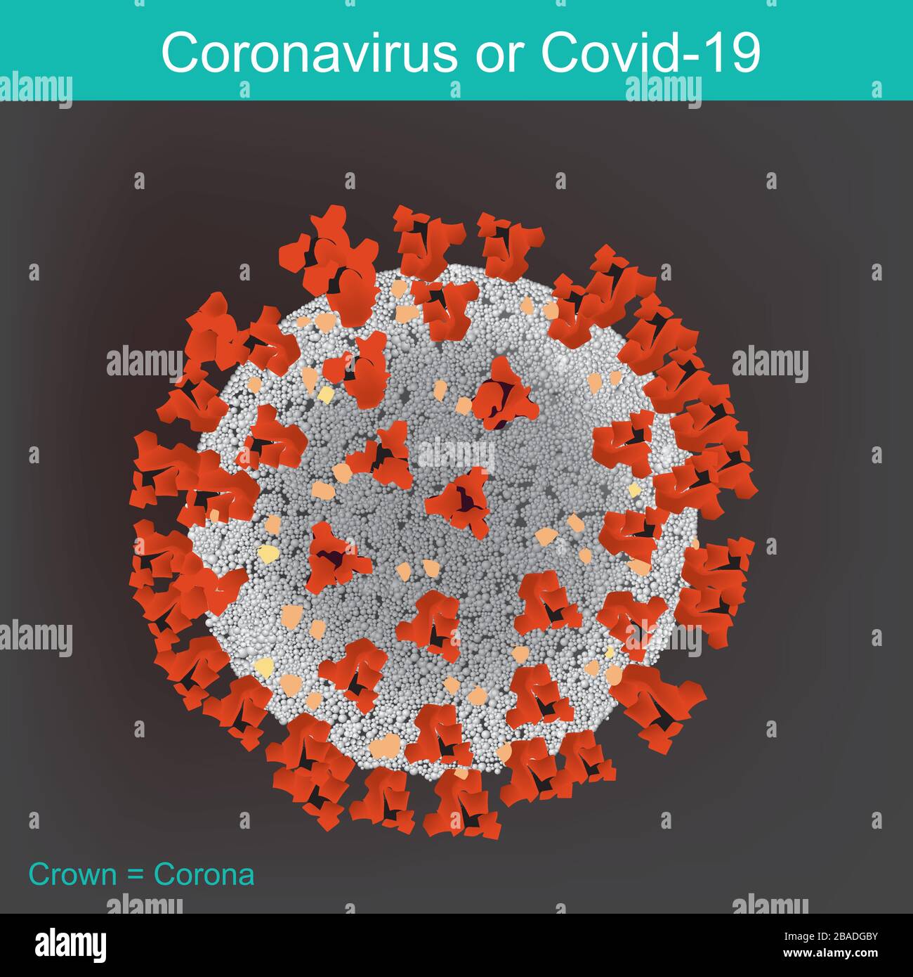Coronavirus Stock Vector Images - Alamy