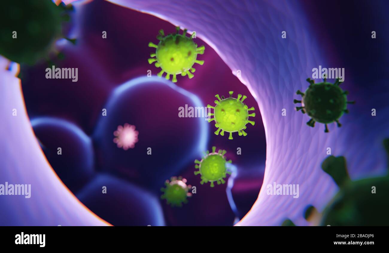 Corona virus or Covid-19 infected human lungs - digital 3d concept ...