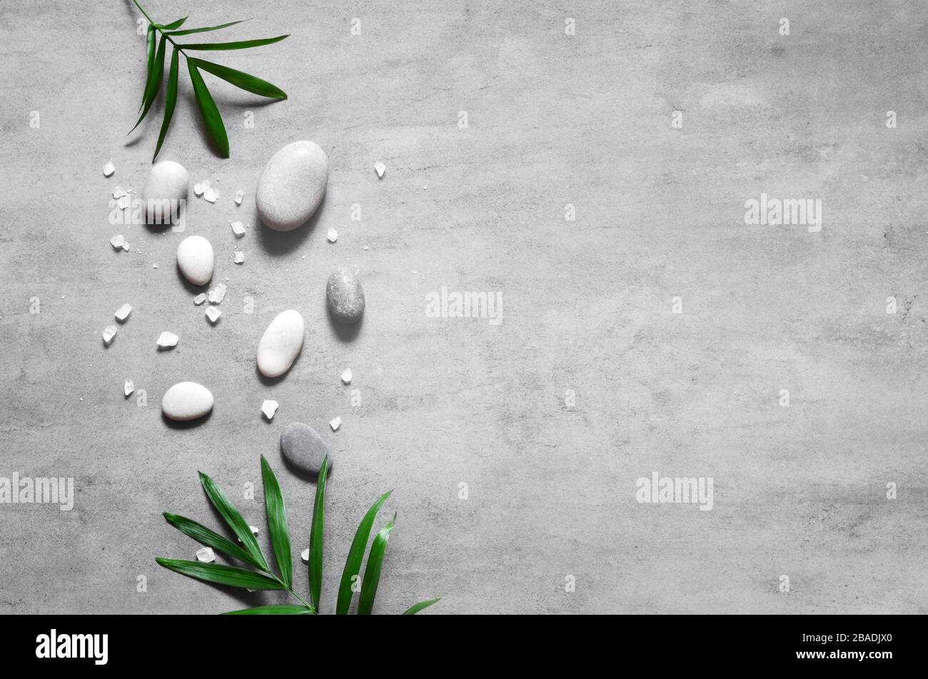 Grey spa background, spa concept, palm leaves and grey stones, top view ...