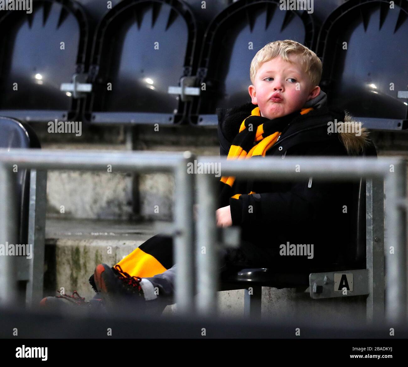 A general view of a Hull City fan Stock Photo - Alamy