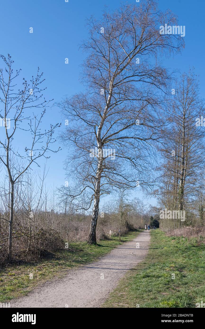 Frogmore Lakes St. Albans Hertfordshire also known as the gravel pits ...