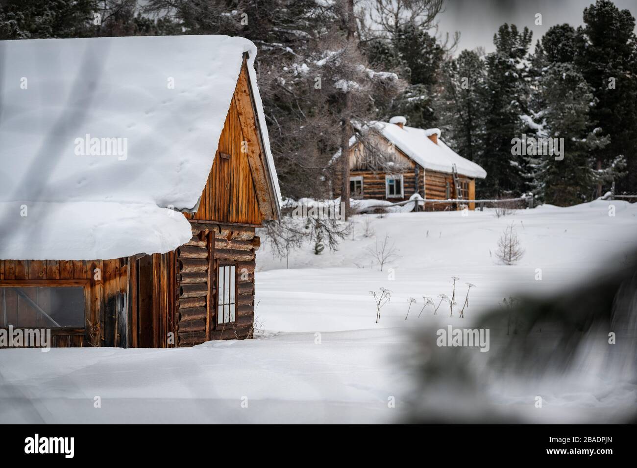 Siberian house hi-res stock photography and images - Alamy