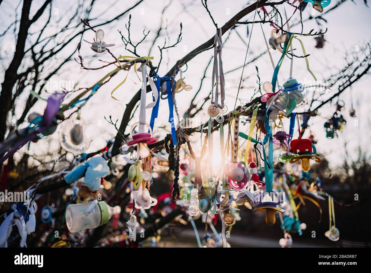 Tree with many colorful baby pacifier hanging in the wind Stock Photo ...