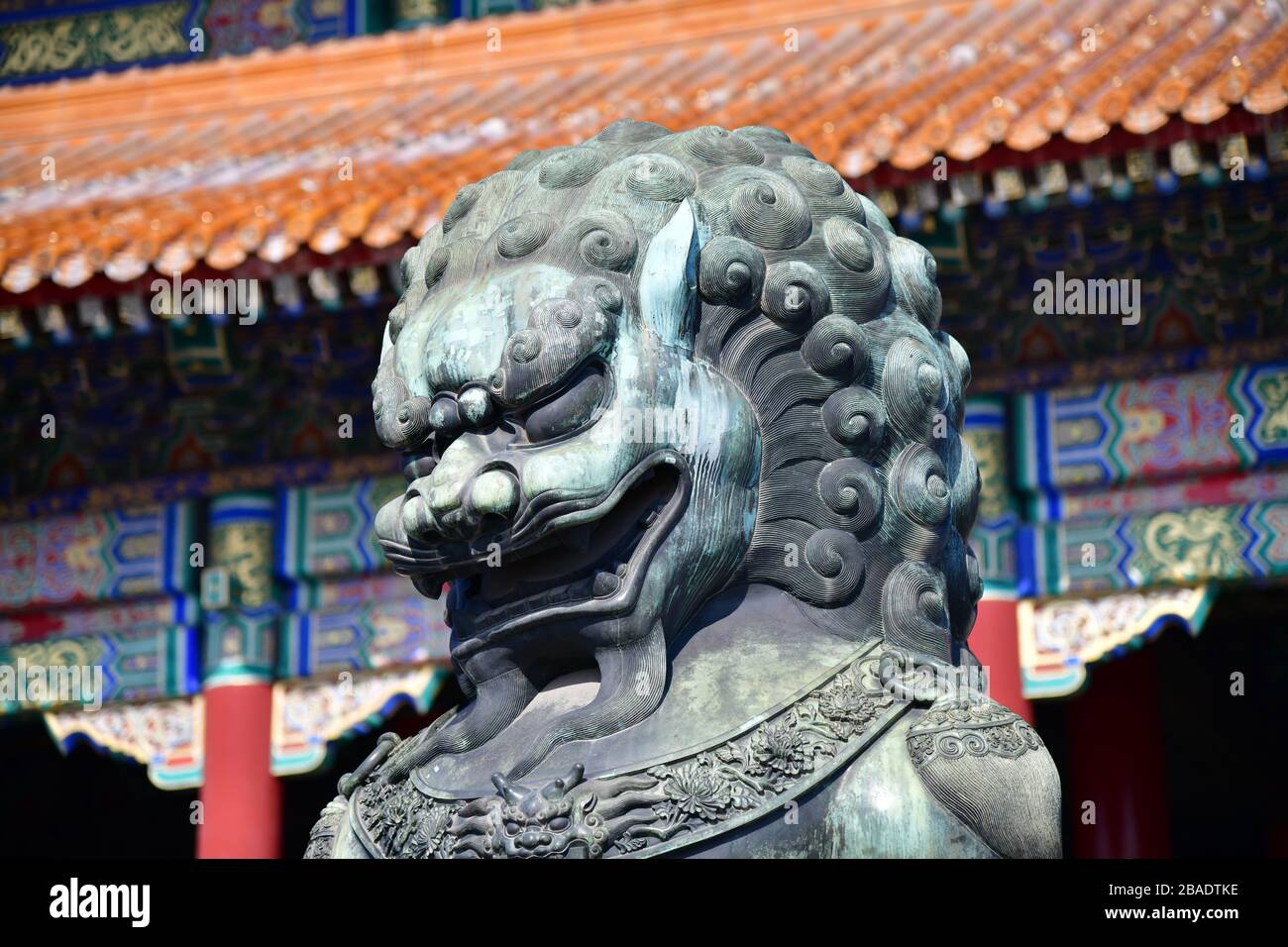 Close up of the head of a Chinese guardian lion in front of one of the ...