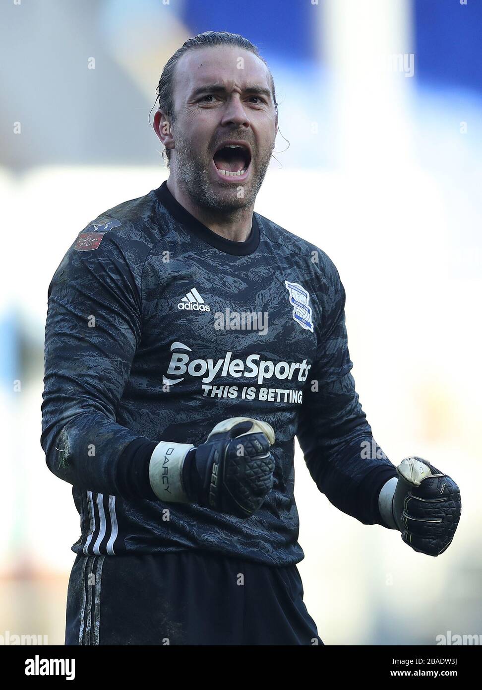 Celebration celebrates trophy hi-res stock photography and images - Alamy