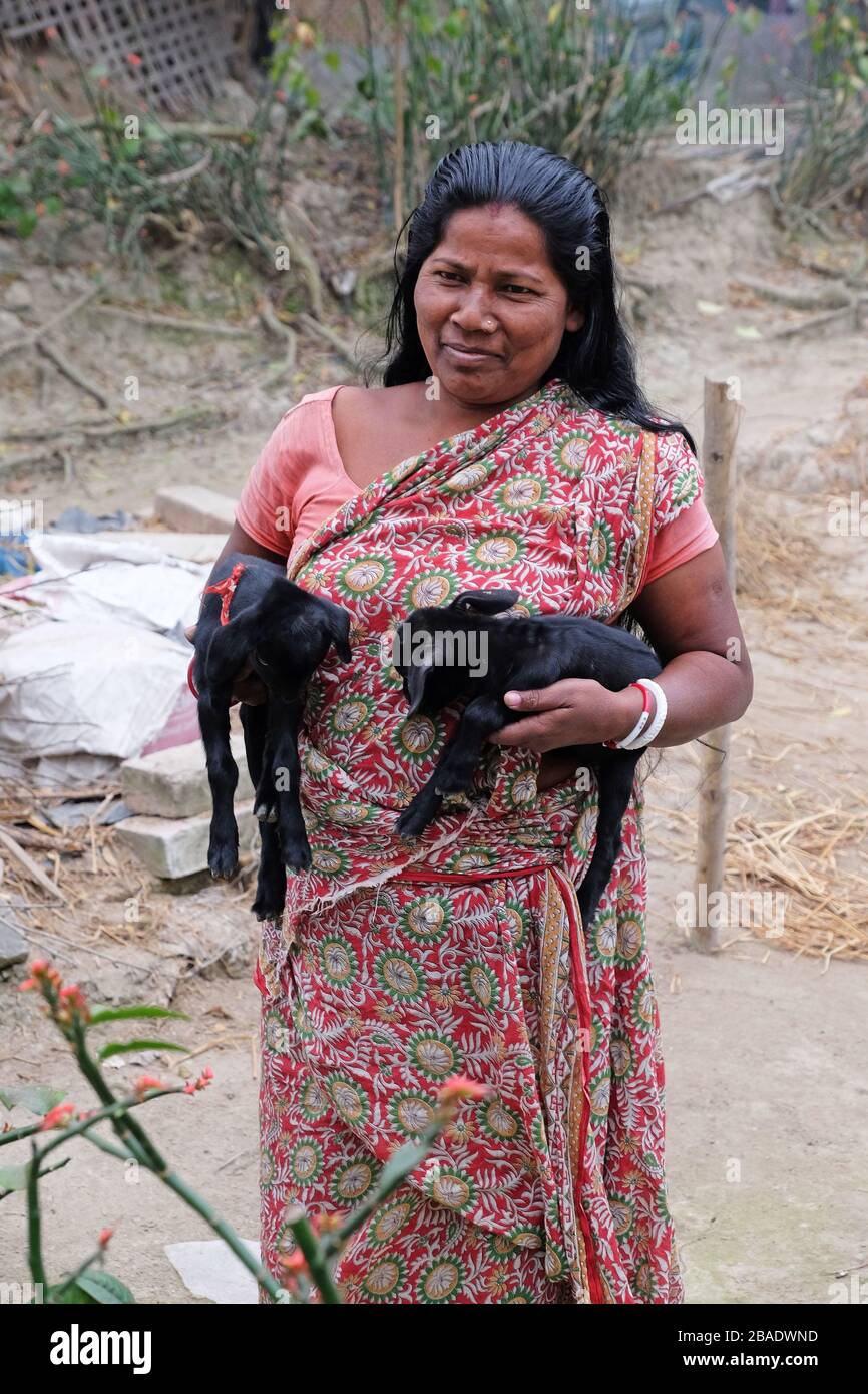 Goat farming in india hi-res stock photography and images - Alamy