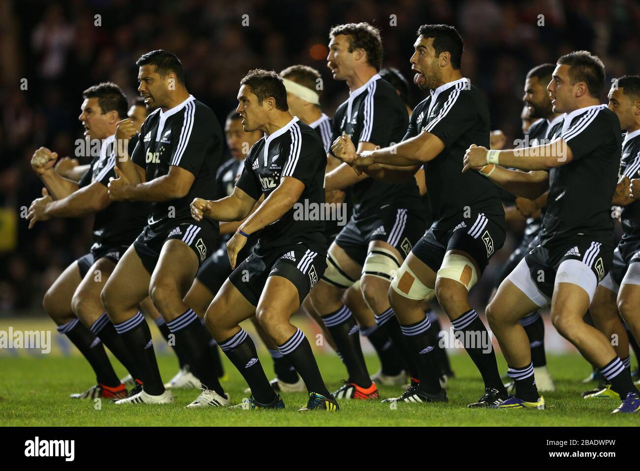 All blacks haka hi-res stock photography and images - Alamy