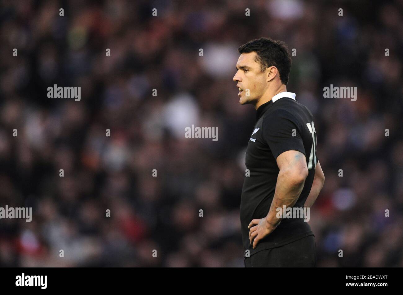 Dan Carter, New Zealand Stock Photo - Alamy