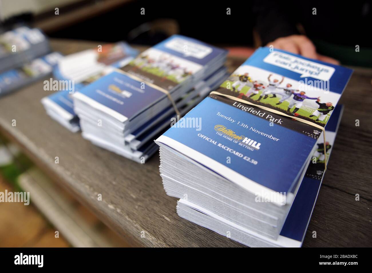 William Hill race cards at Lingfield Park Stock Photo - Alamy