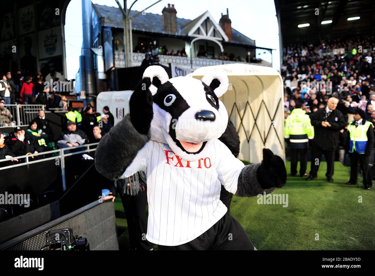 Billy the Badger, Fulham Mascot Stock Photo - Alamy