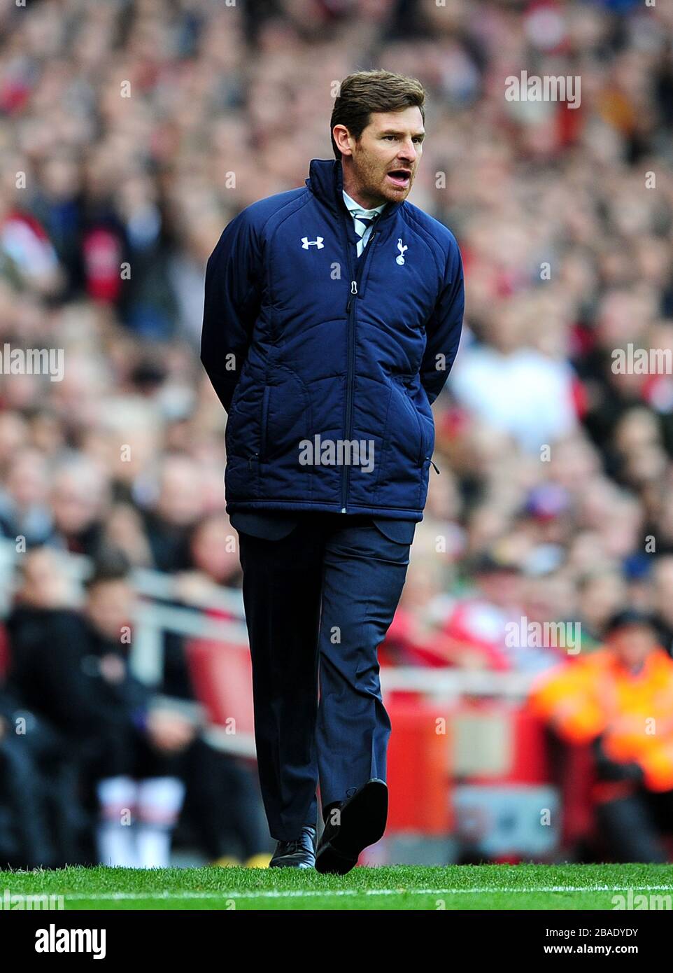 André villas boas hi-res stock photography and images - Alamy